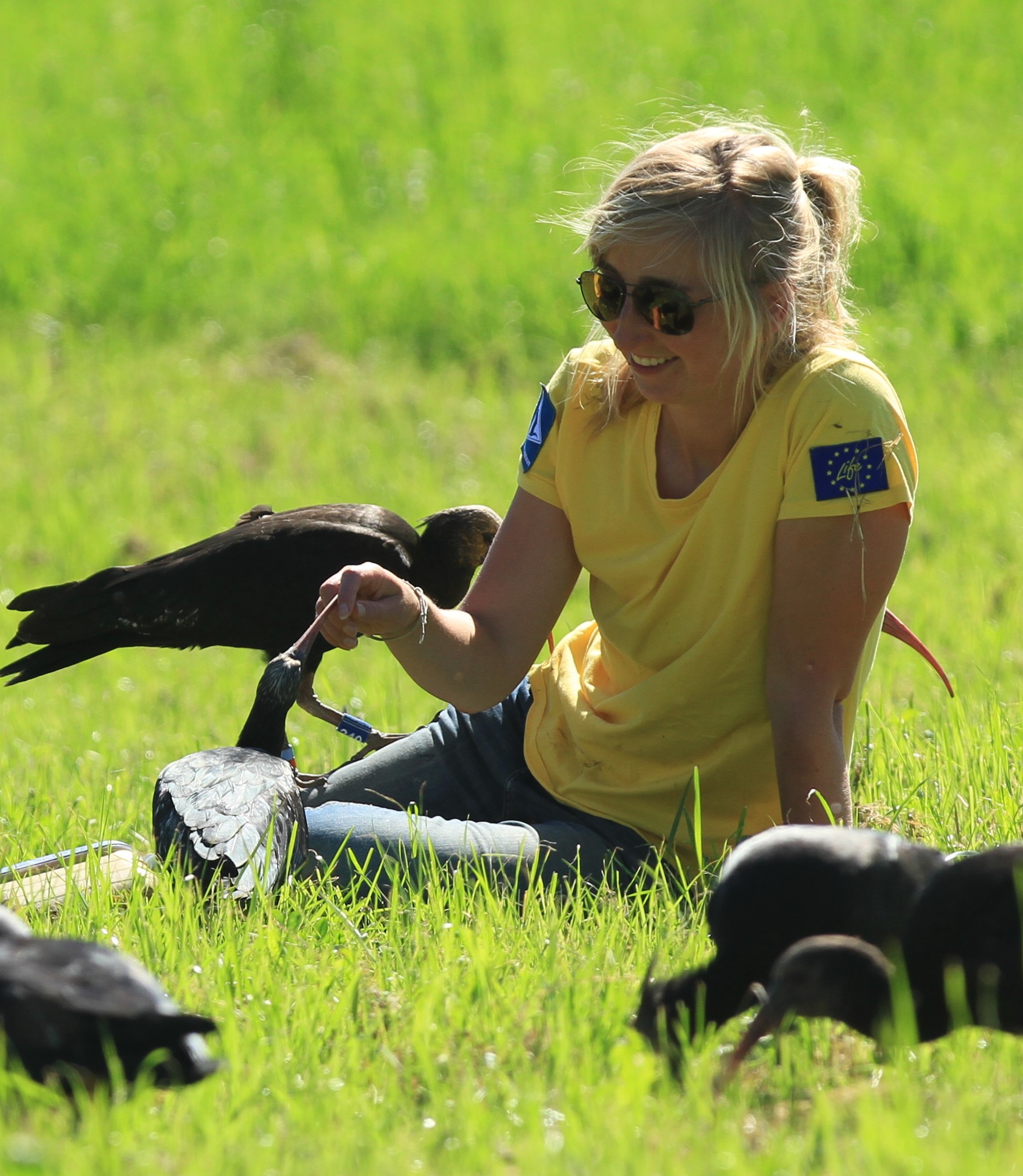Project Team – Waldrapp